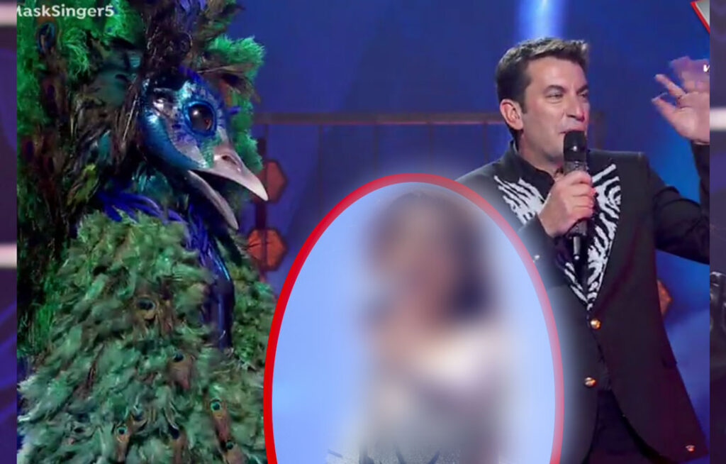 La identidad de Pavo Real de 'Mask Singer' - aMENzing